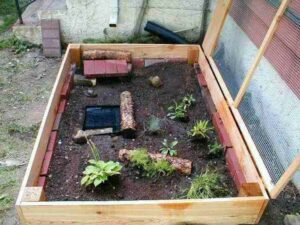 Box Turtle Habitat: How to Setup an Indoor & Outdoor Enclosure?